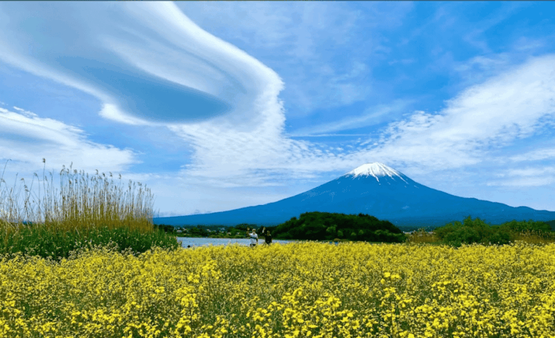 Mount Fuji and Hakone Customize Private Tour English Guide - Key Points
