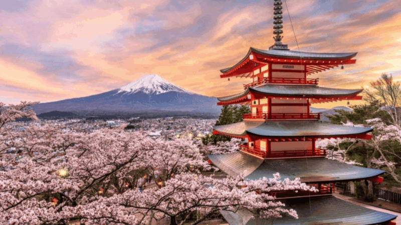 Mount Fuji and Hakone Customized Private Tour - Key Points