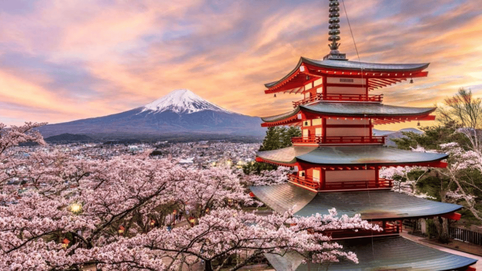 Mount Fuji and Hakone Customized Private Tour - Itinerary Highlights