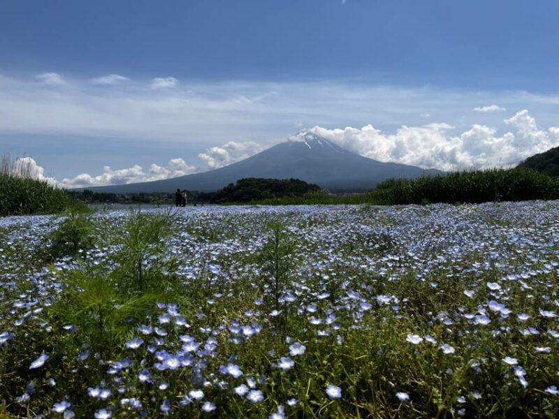 Mount Fuji Day Trip: Adventure Around Lake Kawaguchiko - Key Points