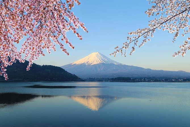 MT. Fuji/ Private Tour Delivered and Guided by a Top-Tier Driver - Key Points