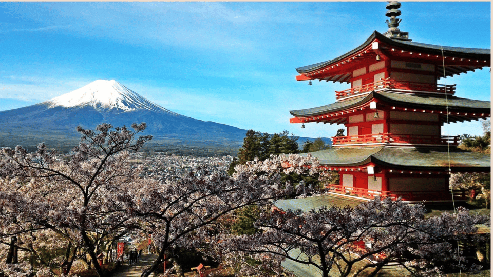 Mt Fuji Sightseeing Private Tour With English Speaking Guide - Customer Feedback