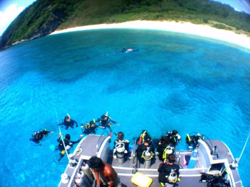 Naha:Kerama Island Experience Dive/Snorkeling/Whale Watching - Key Points