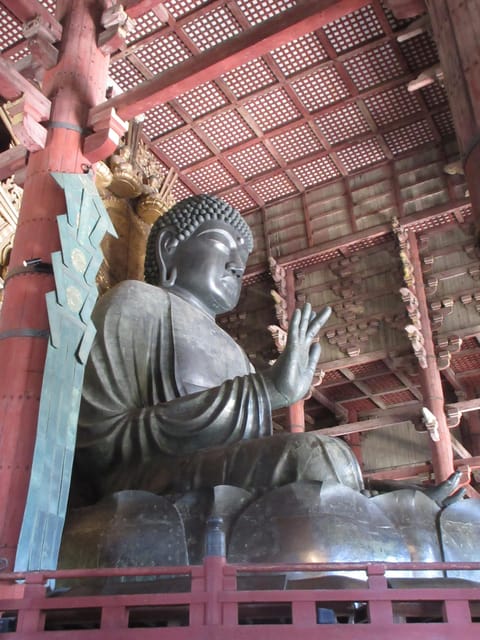 NARA: Giant Buddha, Free Deer in the Park (Italian Guide) - Key Points
