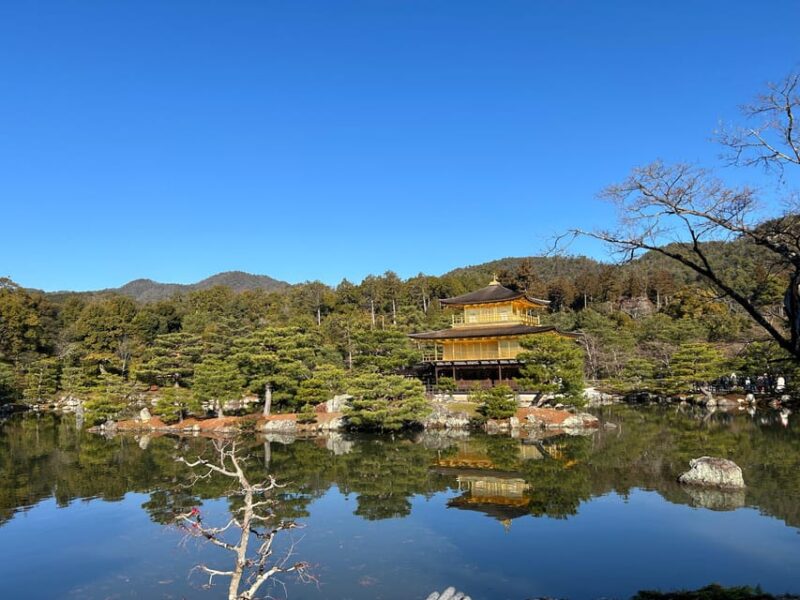 Nara Optional:Kyoto Private Car Tour With Japanese Navigator - Key Points