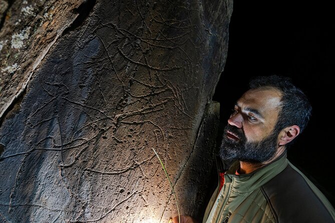 Night Visit to the Engravings of Foz Côa in 4x4 Between Douro and Côa - Key Points