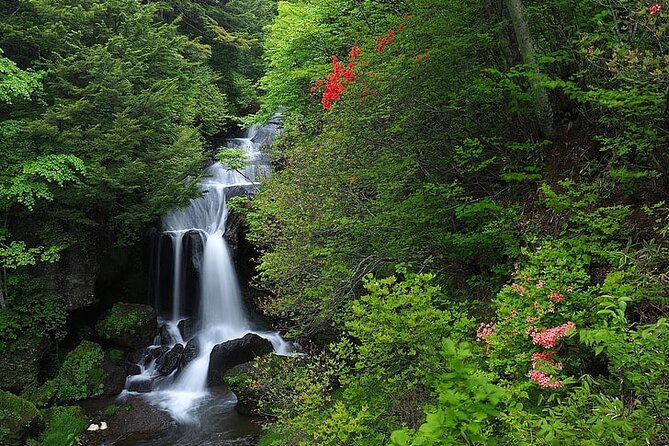 Nikko Day Tour Private With English Speaking Driver - Key Points