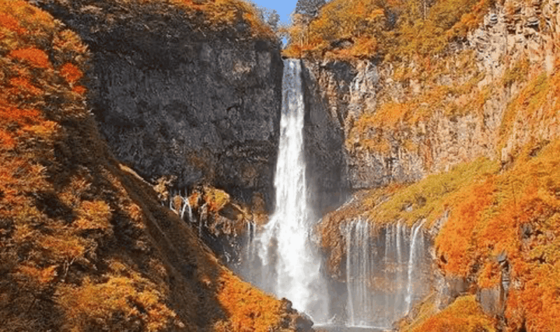 Nikko Private Customize Tour With English Speaking Driver - Pickup and Communication Details