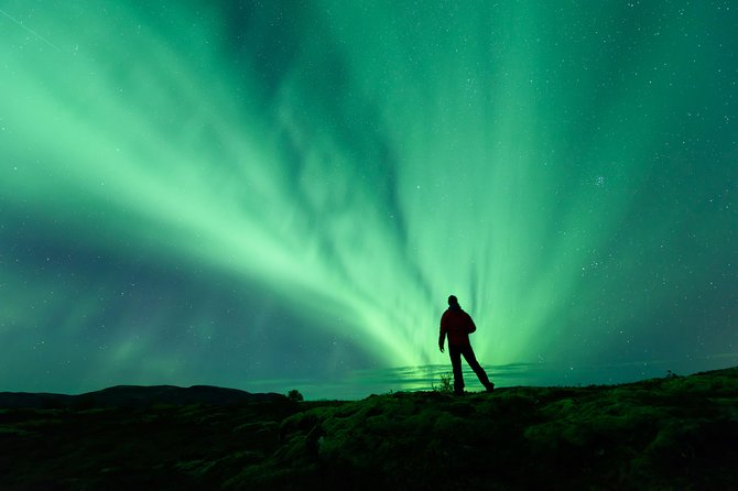 Northern Lights Guided Bus Tour From Reykjavik - About Your Stay