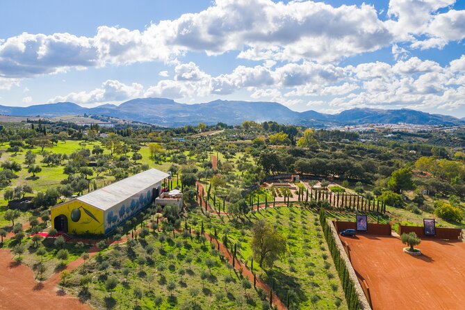 Oil Mill Museum and Olive Oil Tasting Review - About Your Stay