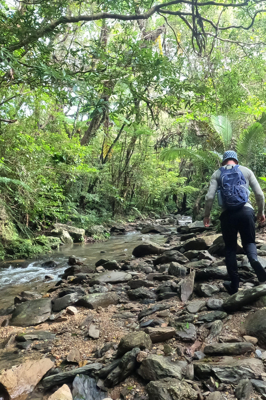 Okinawa: Jungle River Trek: Private Tour in Yanbaru - Key Points