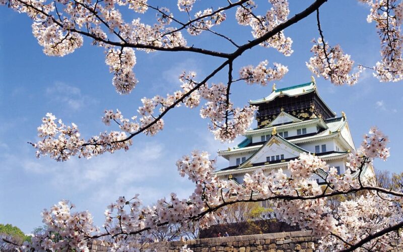 One Day Private Customized Self-Guided Tour in Osaka - Key Points