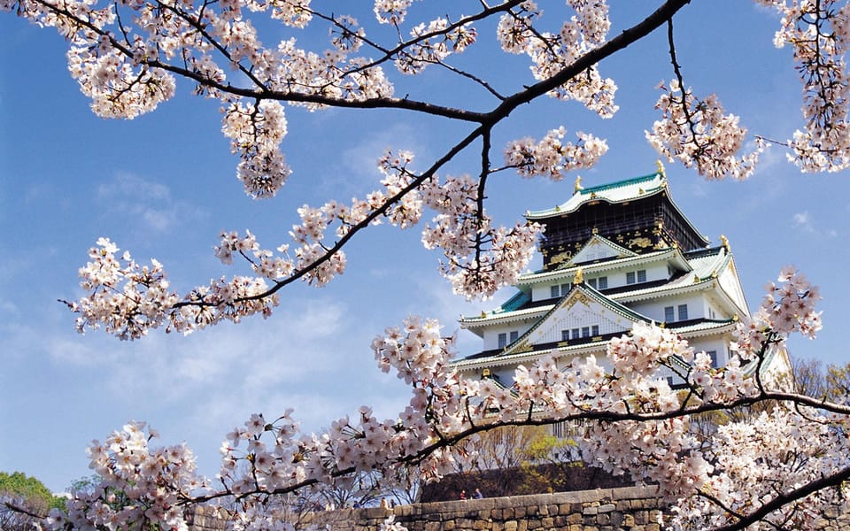 One Day Private Customized Self-Guided Tour in Osaka - Pricing and Booking