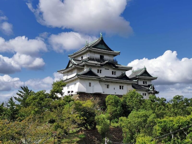 One Day Private Customized Self-Guided Tour in Wakayama - Key Points