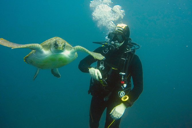 OPEN WATER CERTIFICATION - Become an Autonomous Diver up to 18M ! - Location and Meeting Point