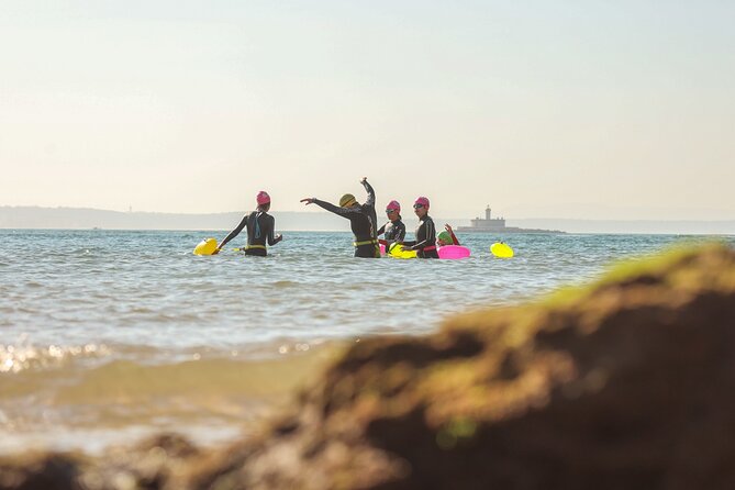 Open-Water Swimming in Cascais - Experience Overview