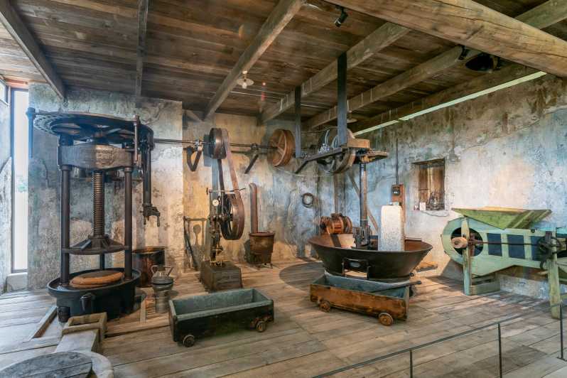 Oppède: Olive Oil Museum Visit - Key Points