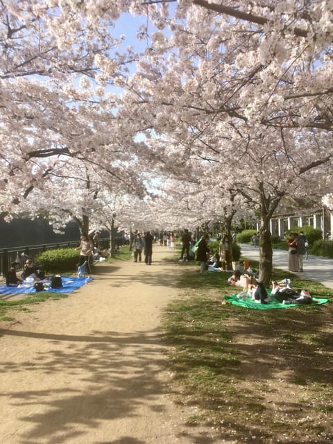 Osaka: Private and Fully Customized Tour With Hotel Pick up - Key Points