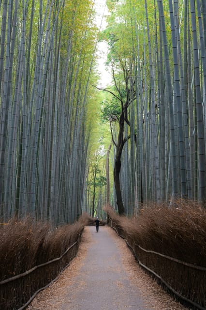 Osaka:Kyoto & Nara UNESCO World Heritage Sites Guided Tour - Key Points