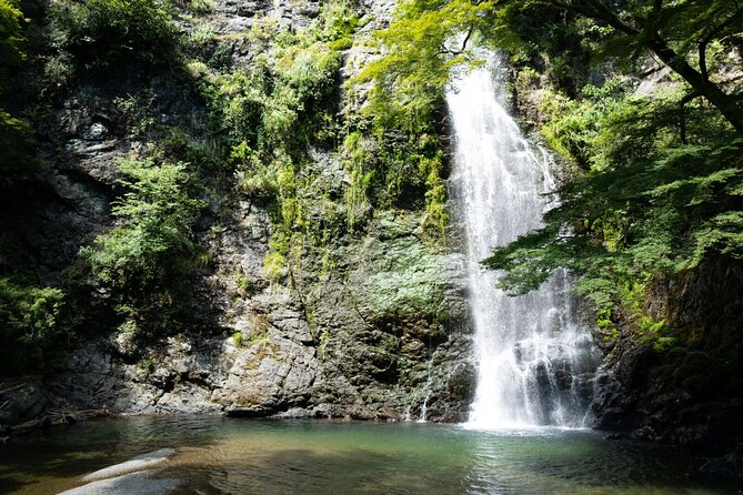 Osakas Secret Adventures: Daruma Magic and Minoh Falls - Key Points
