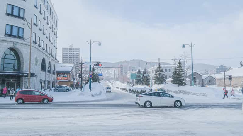 Otaru Tour: the Charm of Hokkaidos Historic Port City - Key Points