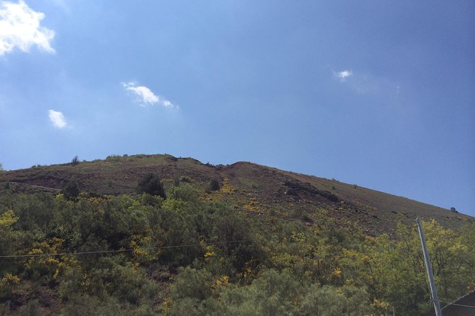 Pompeii-Herculaneum-Vesuvius Tour From Sorrento With Licensed Guide Included - Overview of the Tour Experience