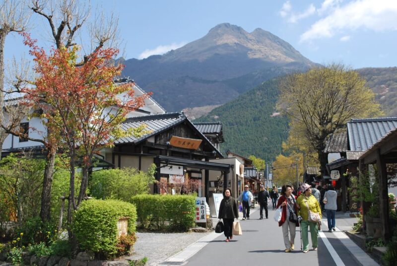 PRIVATE Day BUS Tour to KOKONOE & YUFUIN, BEPPU From Fukuoka - Key Points