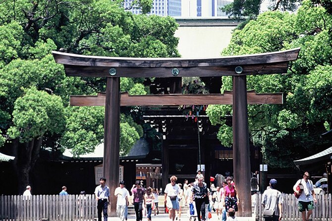 Private Guided 1/2-Day Walking Subway Tour in Tokyo (English) - Key Points