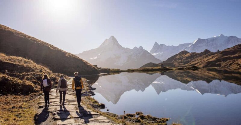 Private Guided Tour to Grindelwald First From Zurich - Tour Overview and Pricing