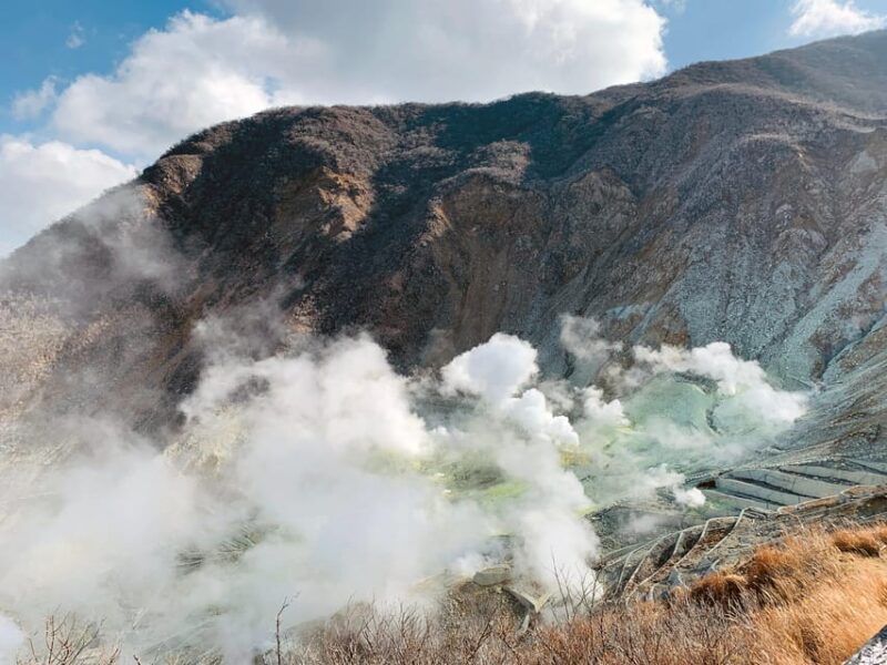Private Hakone Tour - View Of Mt. Fuji, Nature And Culture - Key Points