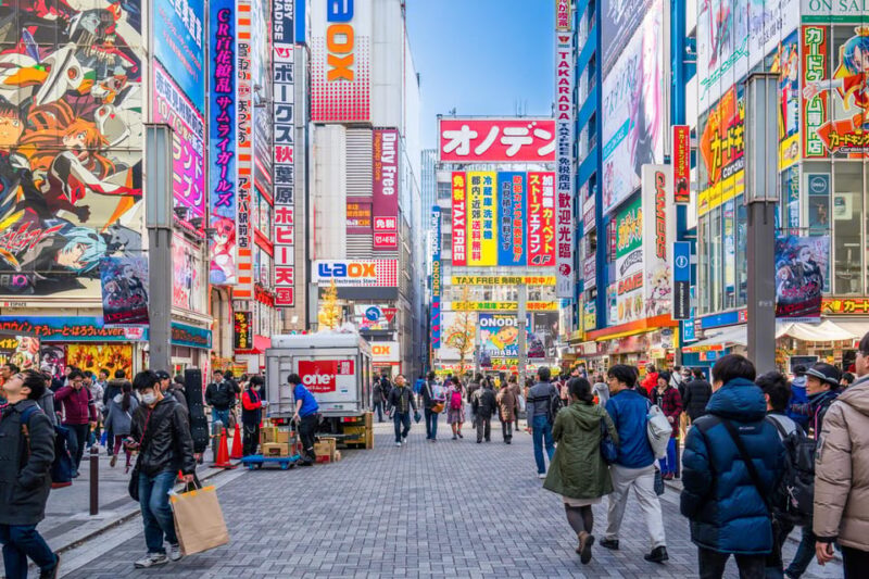 Private Must-see Sakura Journey in Tokyo City - Pricing and Booking