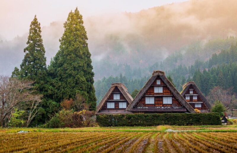 Private Nagoya Tour With Expert English Guide & Hotel Pickup - Key Points