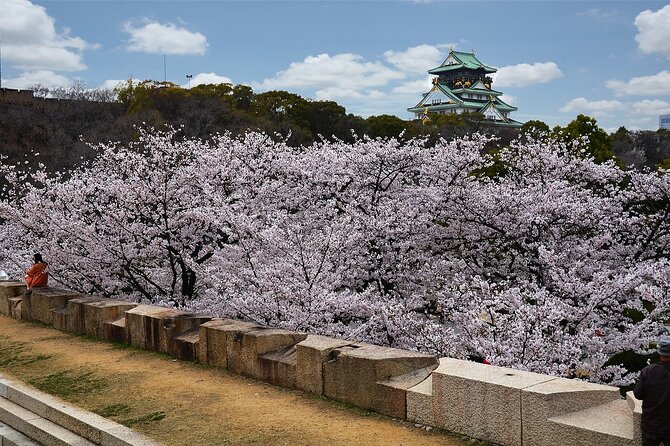 Private Osaka Tour From Kyoto With Guide by Public Transportation - Key Points
