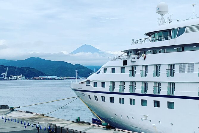 Private Sightseeing Tour From Shimizu Port / Sedan Taxi - Key Points