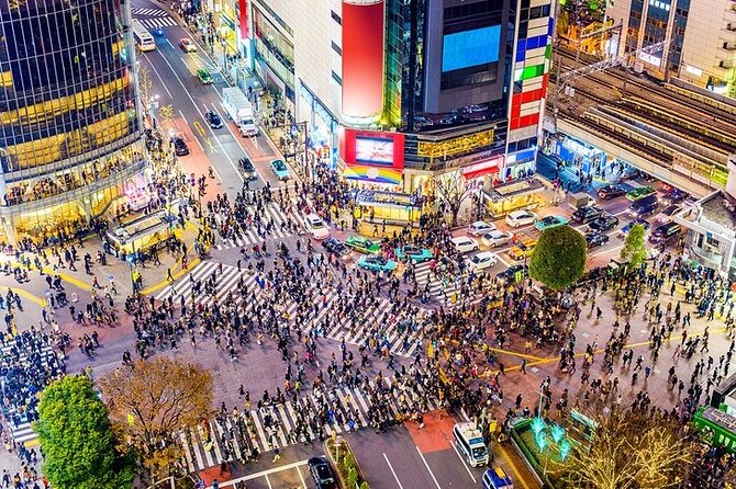 Private Tokyo Sightseeing Tour With English Speaking Driver - Key Points