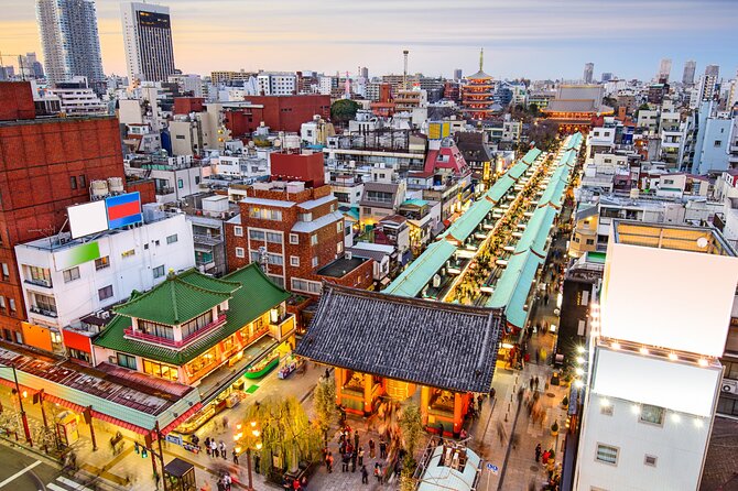 Private Tour With Local Japanese Female Guide - Key Points