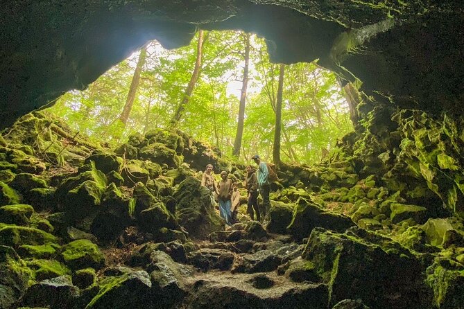 Private Trekking Tour at the Foot of Mount Fuji - Key Points
