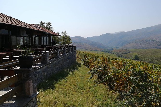 Private Wine Tour of Chateau Sopot Winery From Skopje - Tour Overview