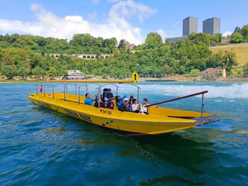 Rhine Falls & Stein Am Rhein: Private Tour With a Local - Key Points
