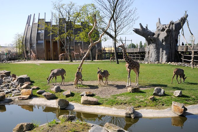 Rotterdam Zoo Blijdorp Direct Entrance Ticket - Key Points