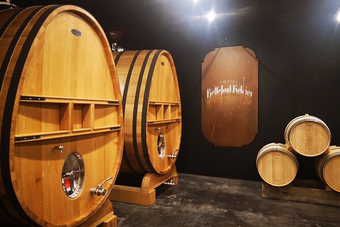 Saint-Emilion Private Full Day Wine Tour From Bordeaux - Key Points