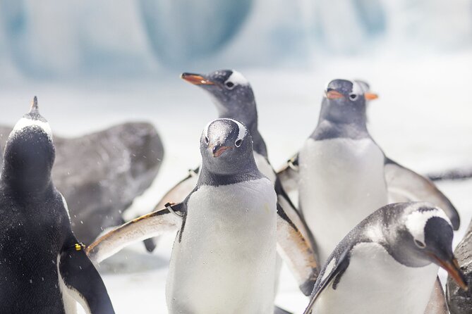 SEA LIFE Konstanz Admission Ticket Incl. Animal Crossing Event - Key Points