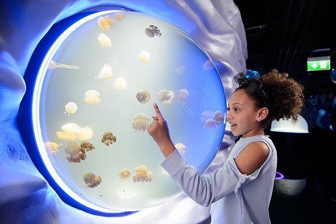 SEA LIFE London Aquarium Admission Ticket - About Your Stay