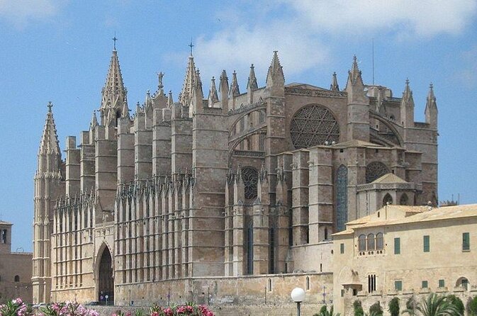 Segway Tour 1 Hour in Palma Old Town - Key Points