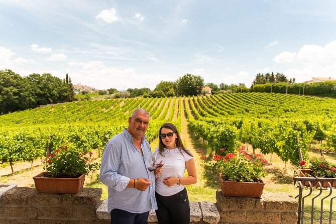 Sella Delle Spine Taurasi: Tasting, Vineyard and Cellar Tour - About Your Stay