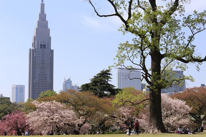 Shared Departure Transfer : Central Tokyo Hotel to Haneda Airport - Key Points