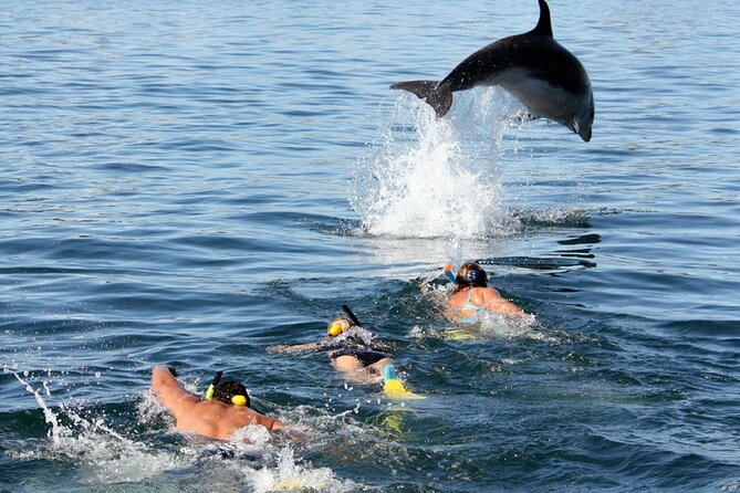 Side Dolphin Island Boat Trip With Lunch And Hotel Transfer - Overview of the Tour