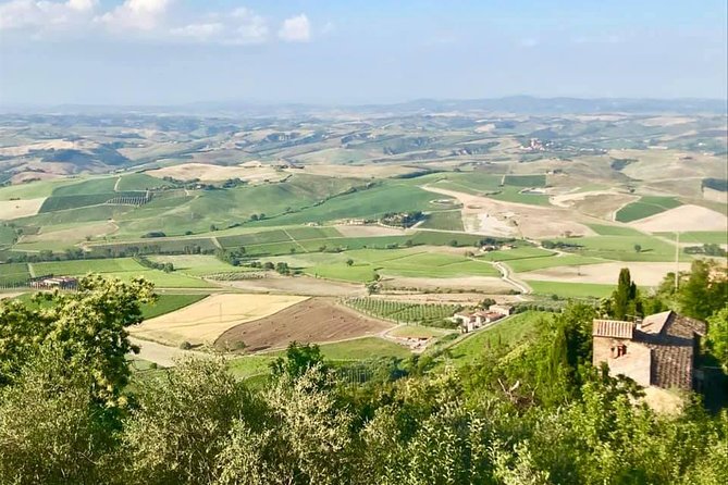 Small Group (7) Chianti-Side Wine Tour With Mercedes V Class Van - Key Points