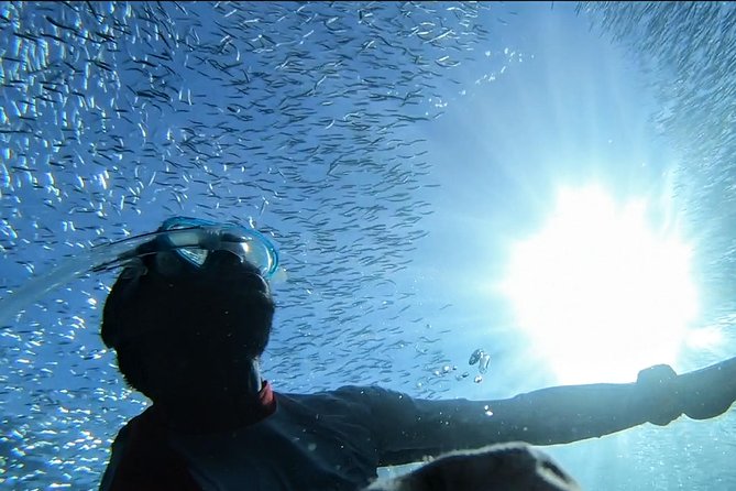 Snorkel Tour in Paraggi Bay - About Your Stay
