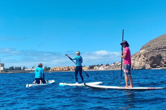 Stand up Paddle and Snorkeling Tour of Gran Canaria With Transfers South Area - Overview of the Stand Up Paddle and Snorkeling Tour